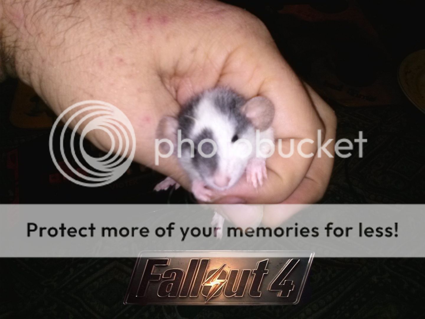So Bolt is ready for Fallout 4. : r/RATS