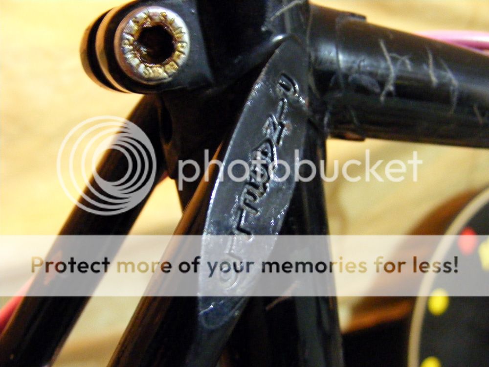 Pinarello Frame Renovation | Retrobike