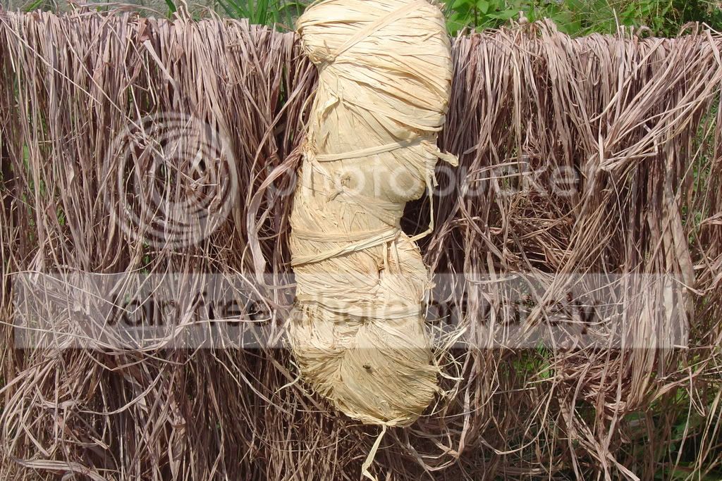 Dying Raffia | Ohio Waterfowler Forums