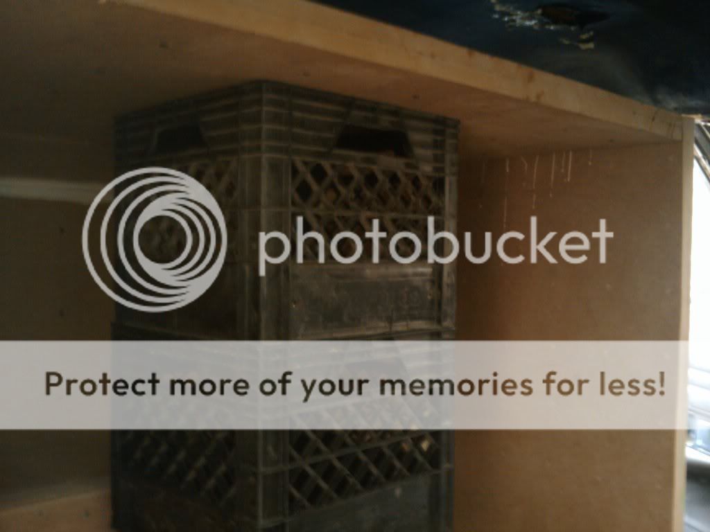 phades new build thread | FloridaSPL