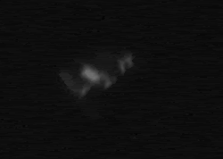 ISS overflight on 5-10 showing metal glinting - Major & Minor Planetary ...