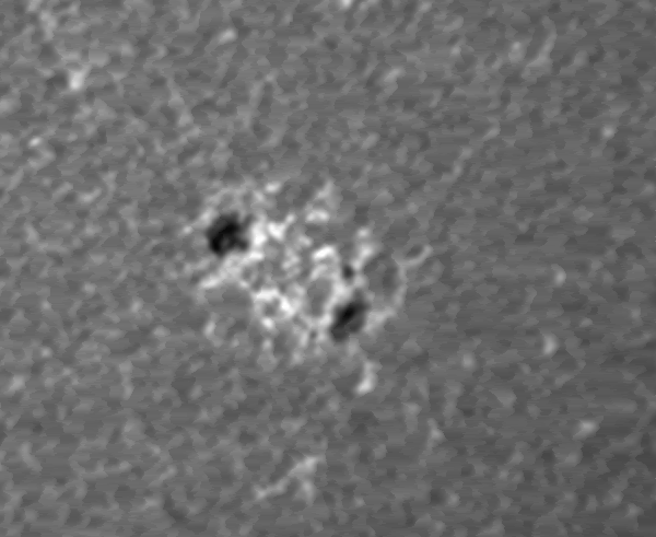 Oct11 & 3 AR's, Disc image & sunspot animation - Solar Observing and ...