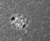 Oct11 & 3 AR's, Disc image & sunspot animation - Solar Observing and ...